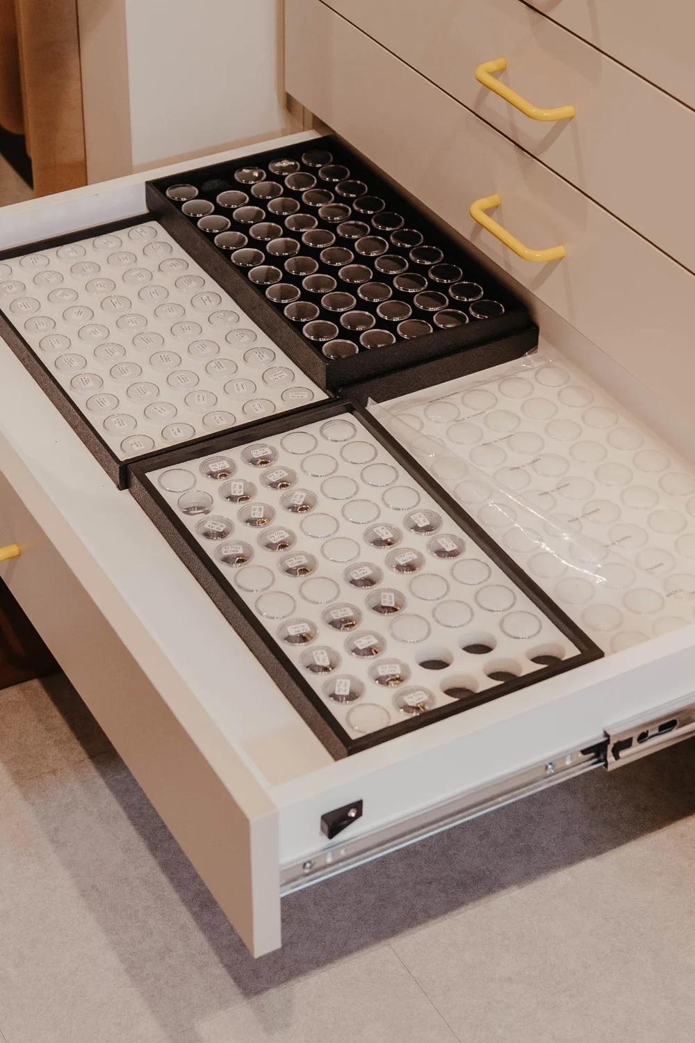 Rachel Porter — GAMMA PIERCING