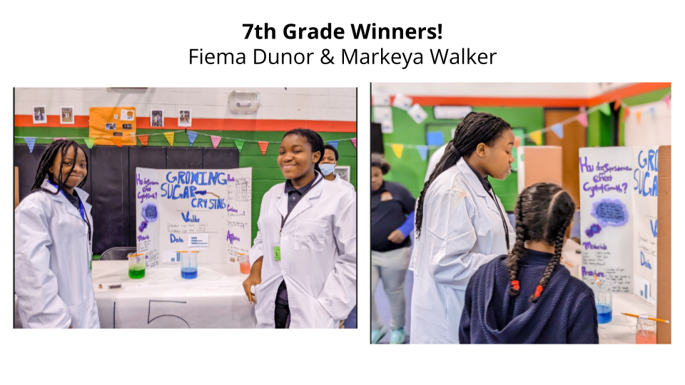 Science Fair Projects For 7th Grade Life Science