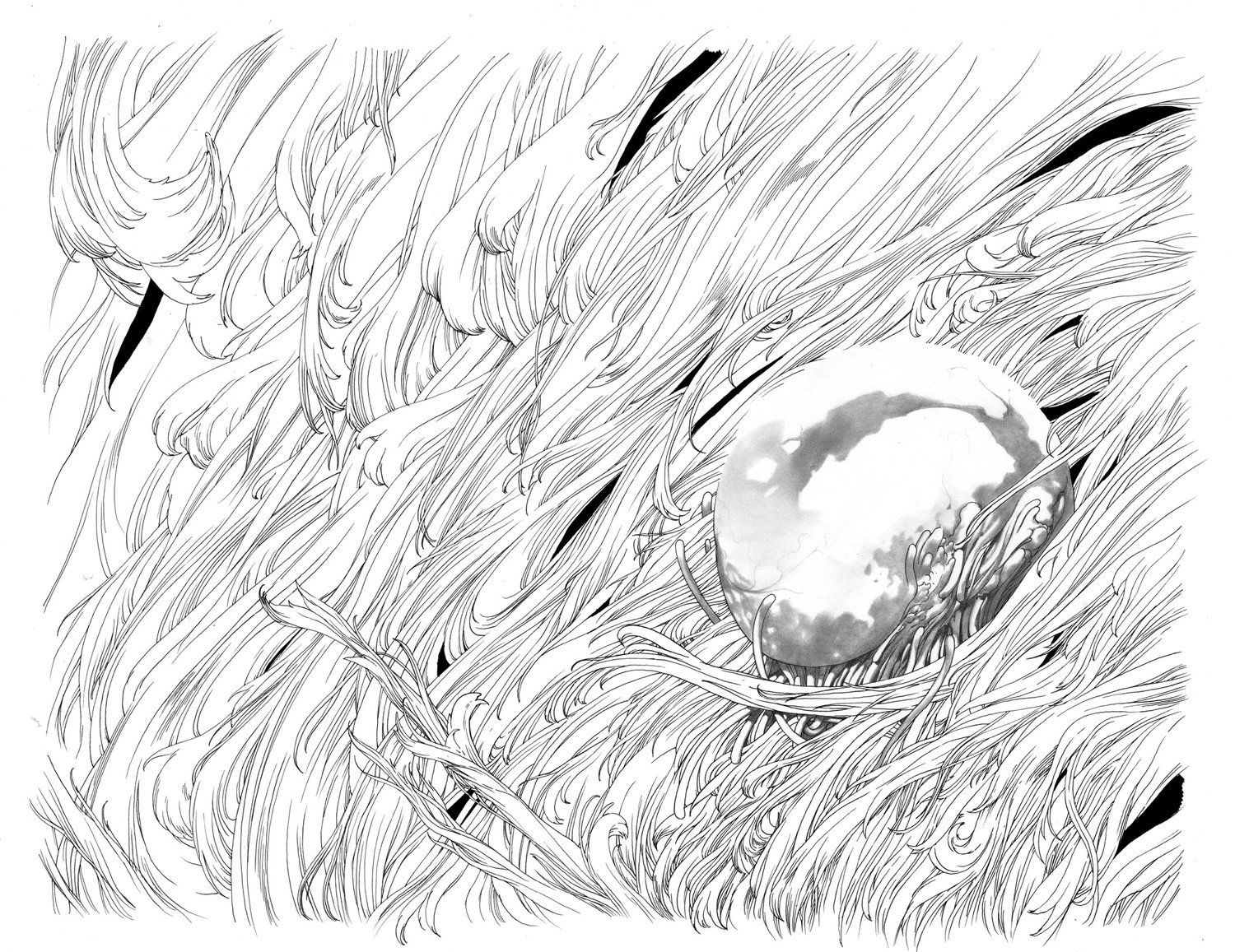 Jeff Vandermeer's Borne | Cover Illustration — LRNZ