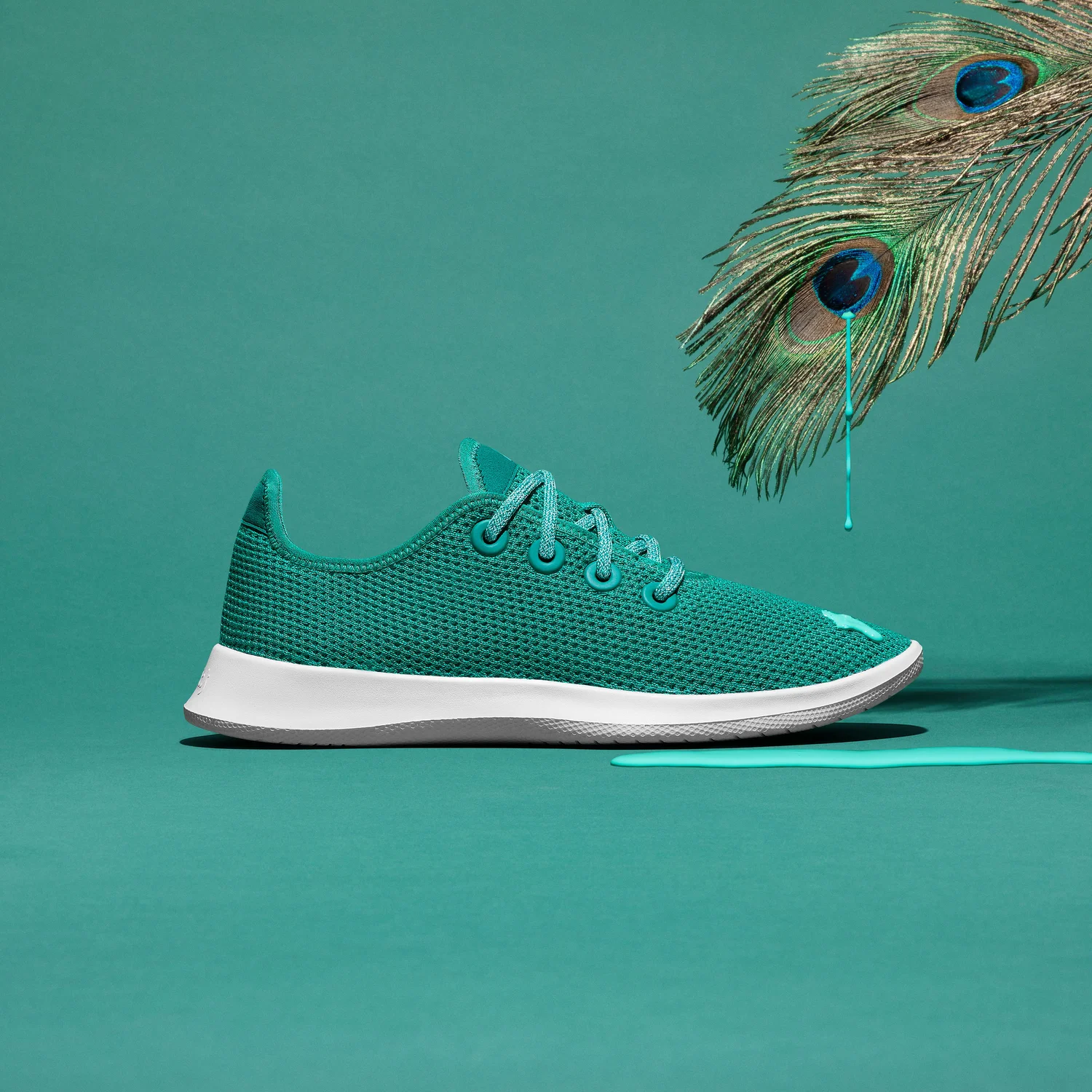Allbirds Brand