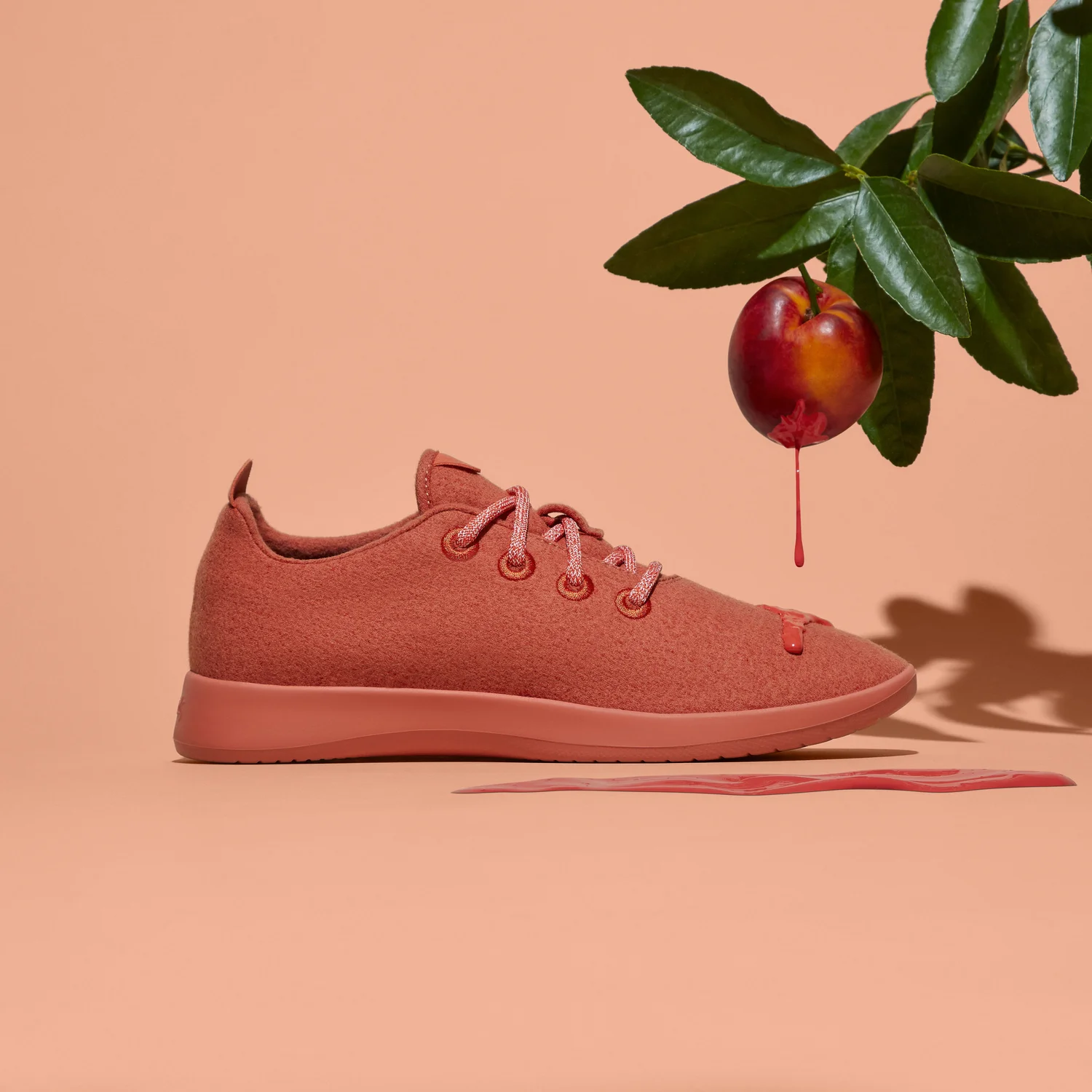 Allbirds Brand