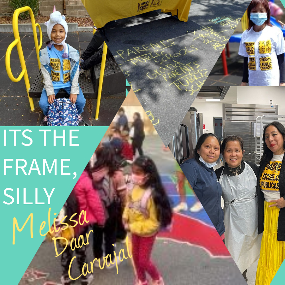 ITS THE FRAME, SILLY — PPSSF