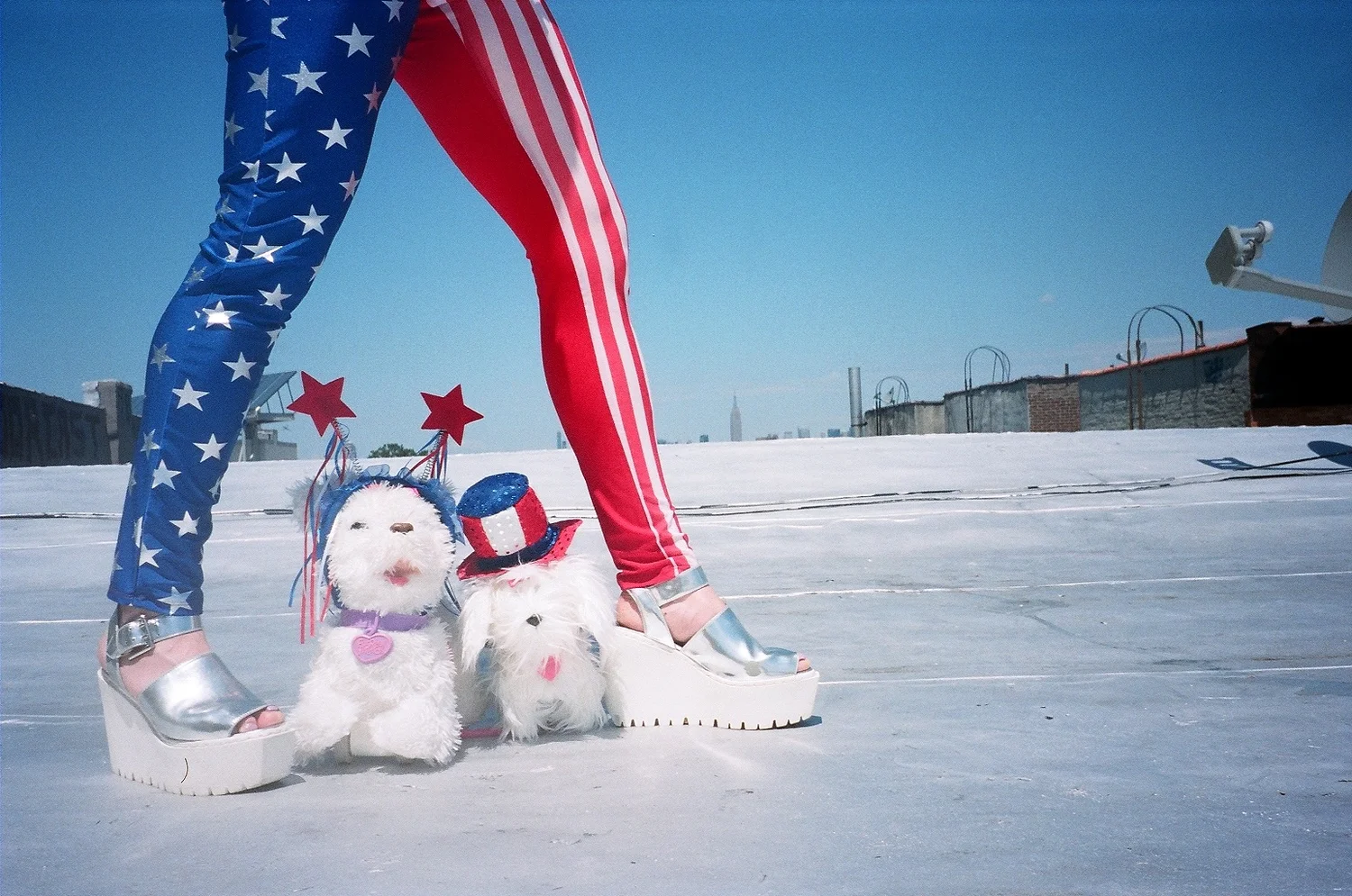 Dear America — The Scarlet Bob