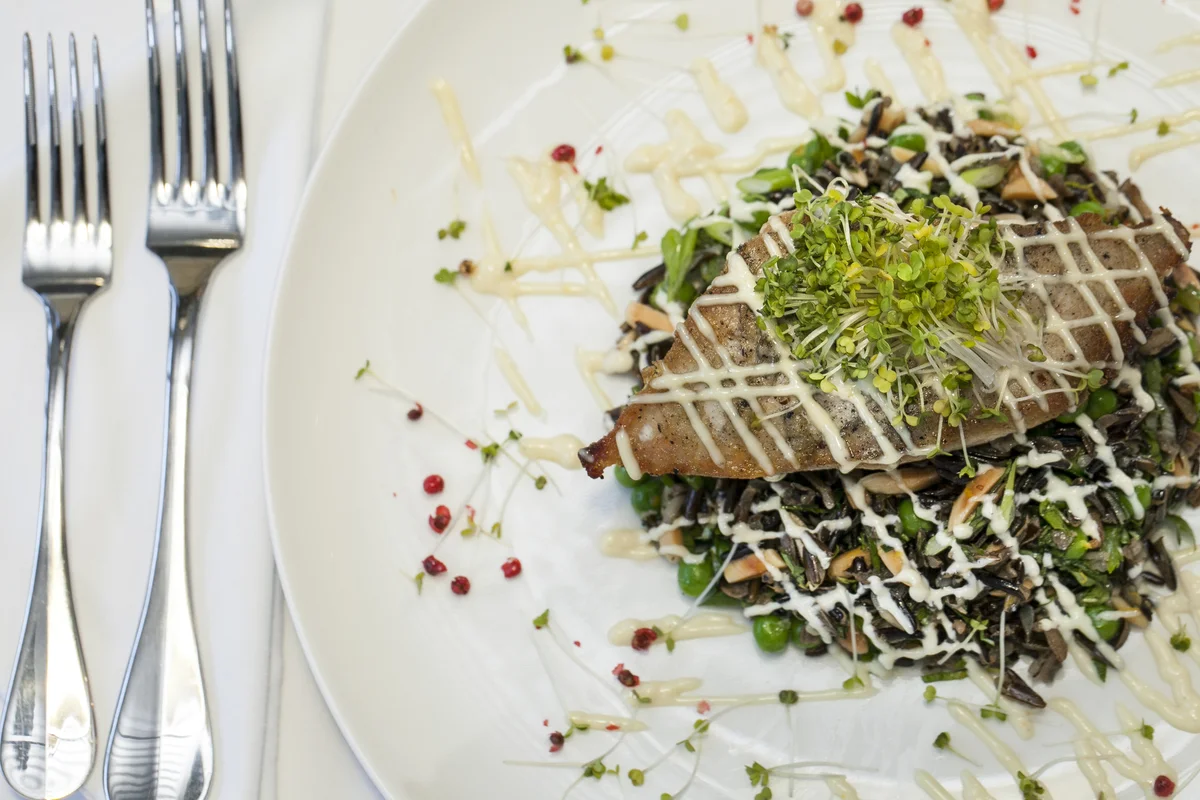 Gallery — The Terrace