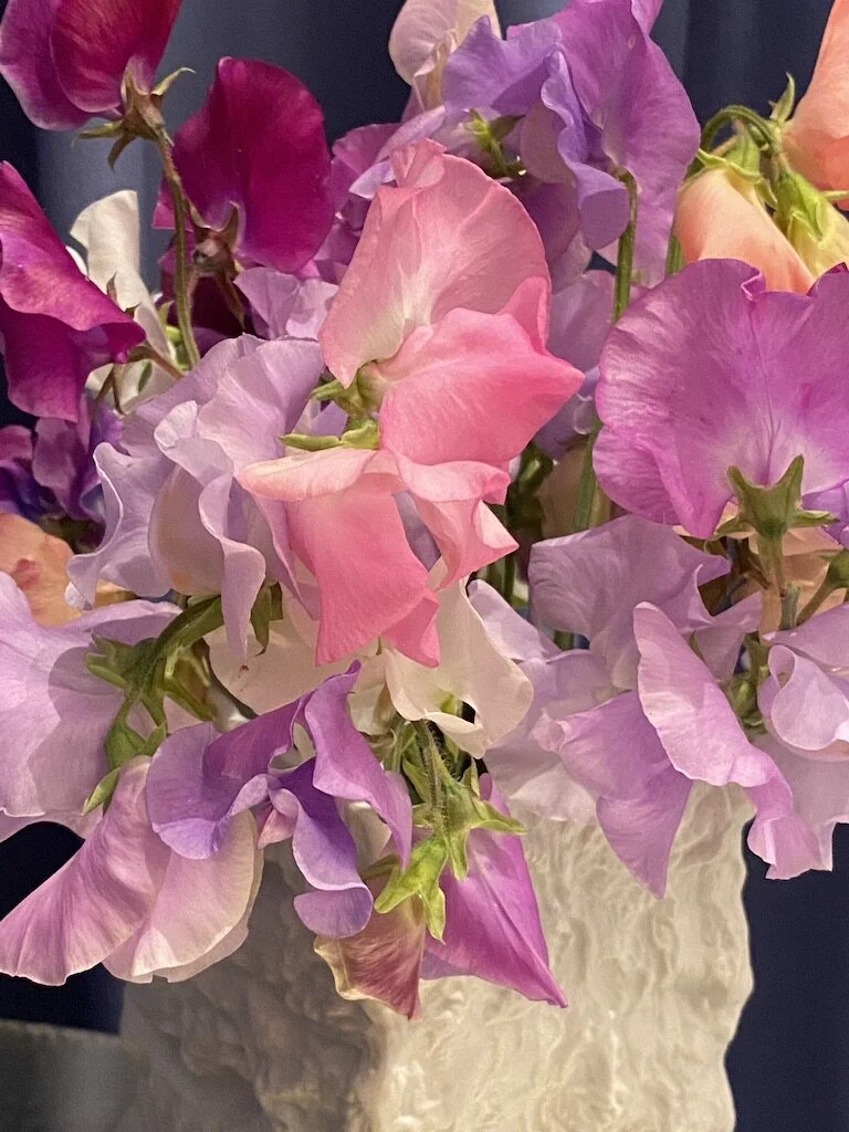 Sweet Peas — Anderson Acres Farm