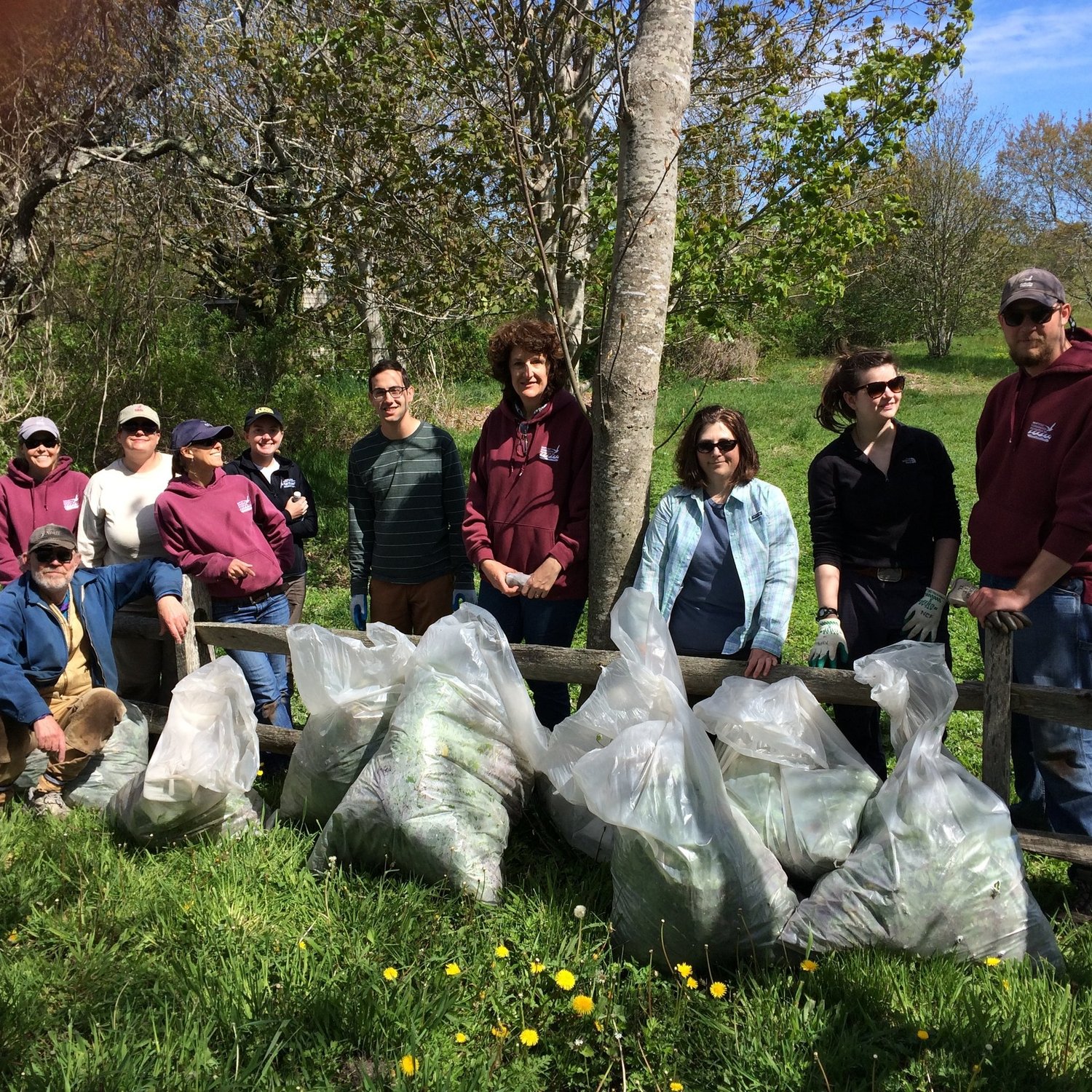 Invasive Plant Species Committee Overview — Nantucket Biodiversity ...