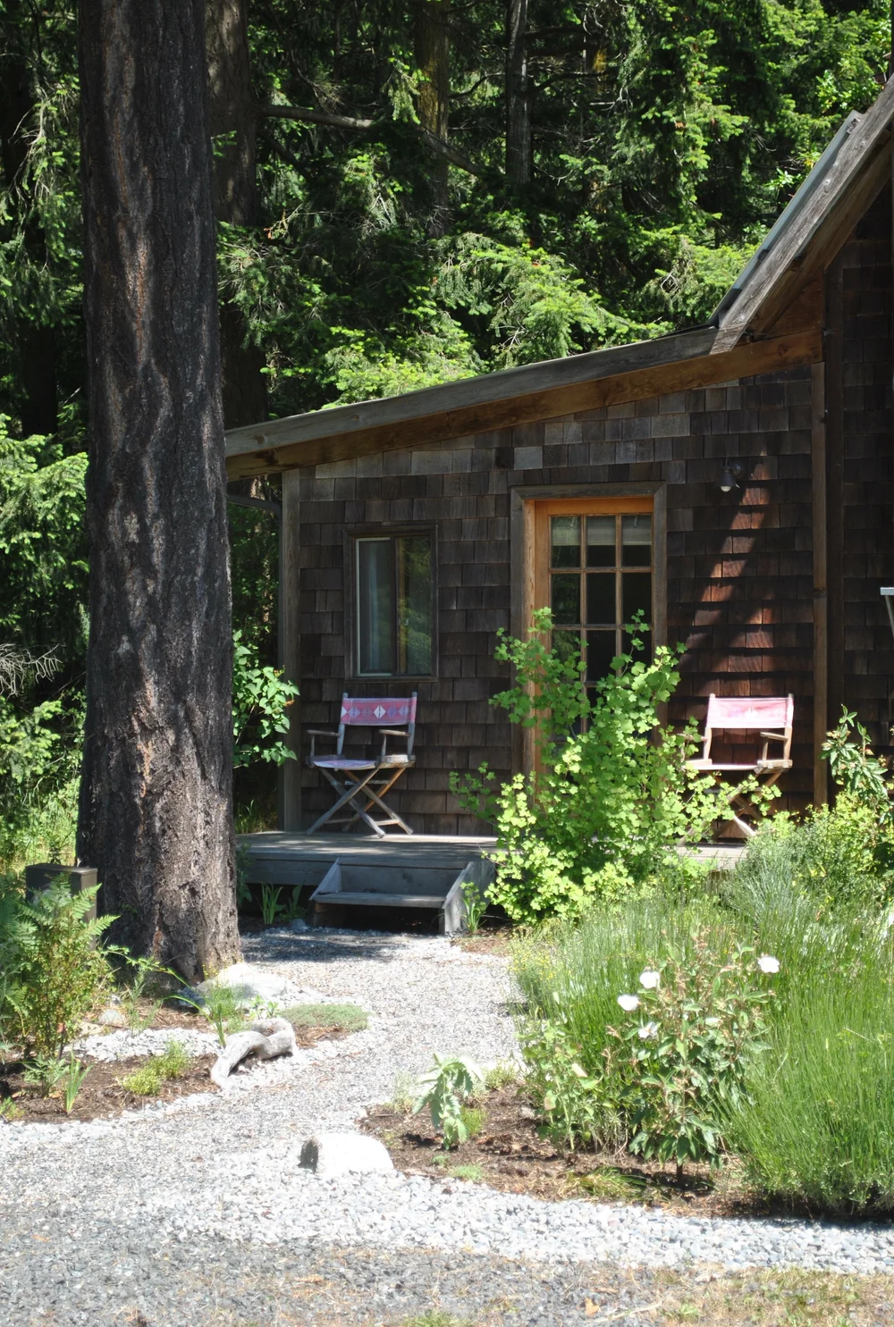 FARM STAYS — Free Horse Farm