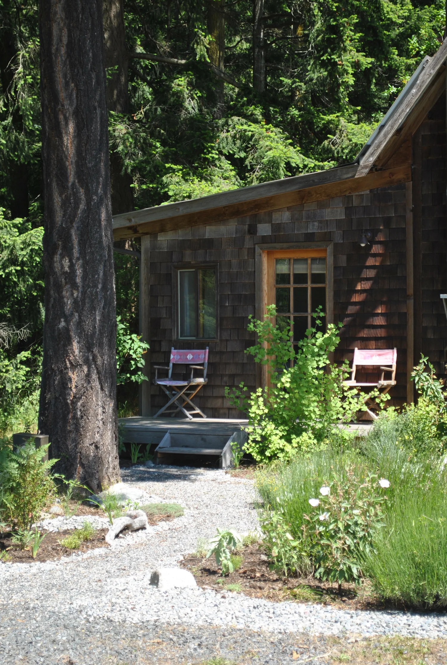 FARM STAYS — Free Horse Farm