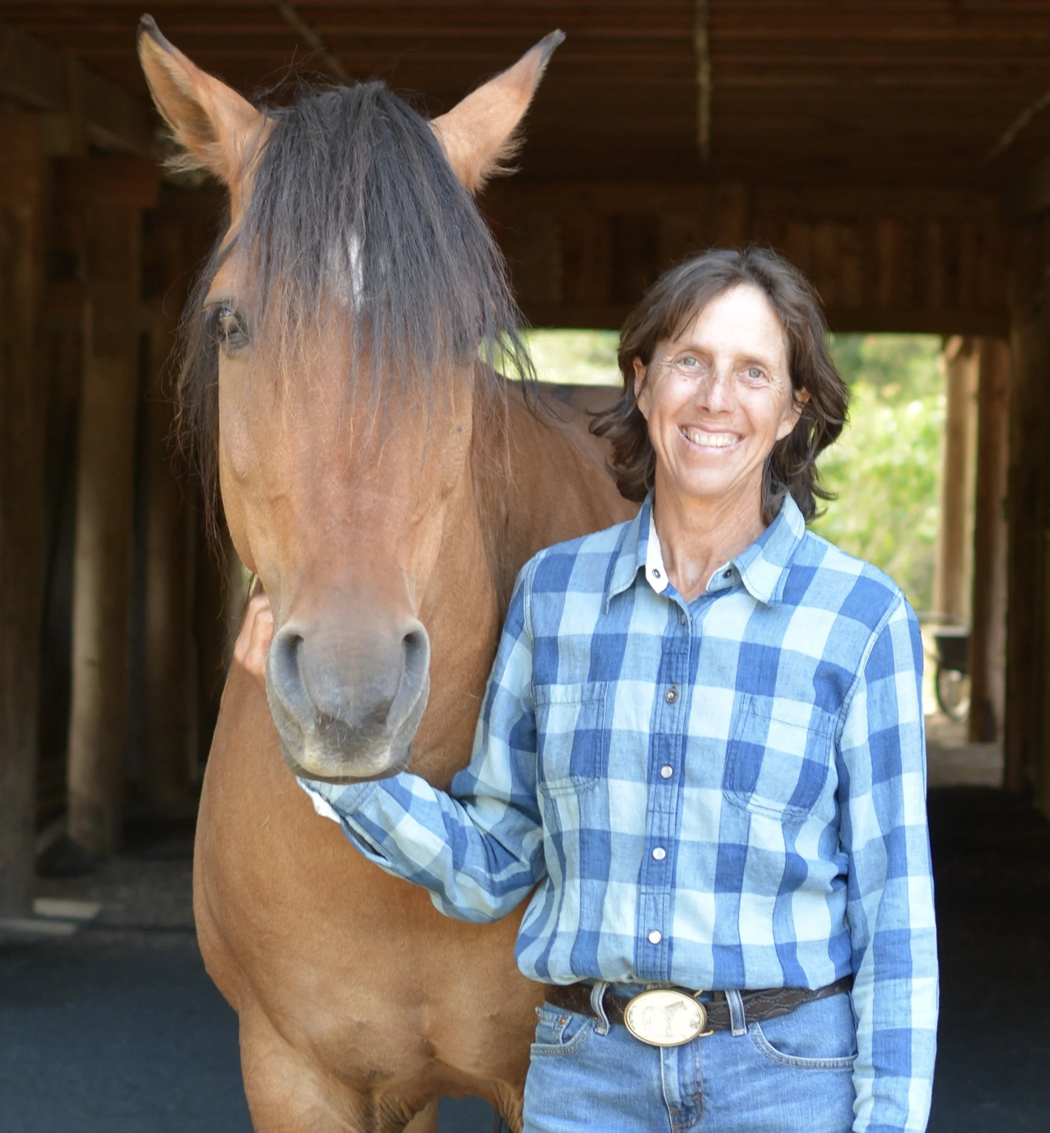 Sus — Free Horse Farm