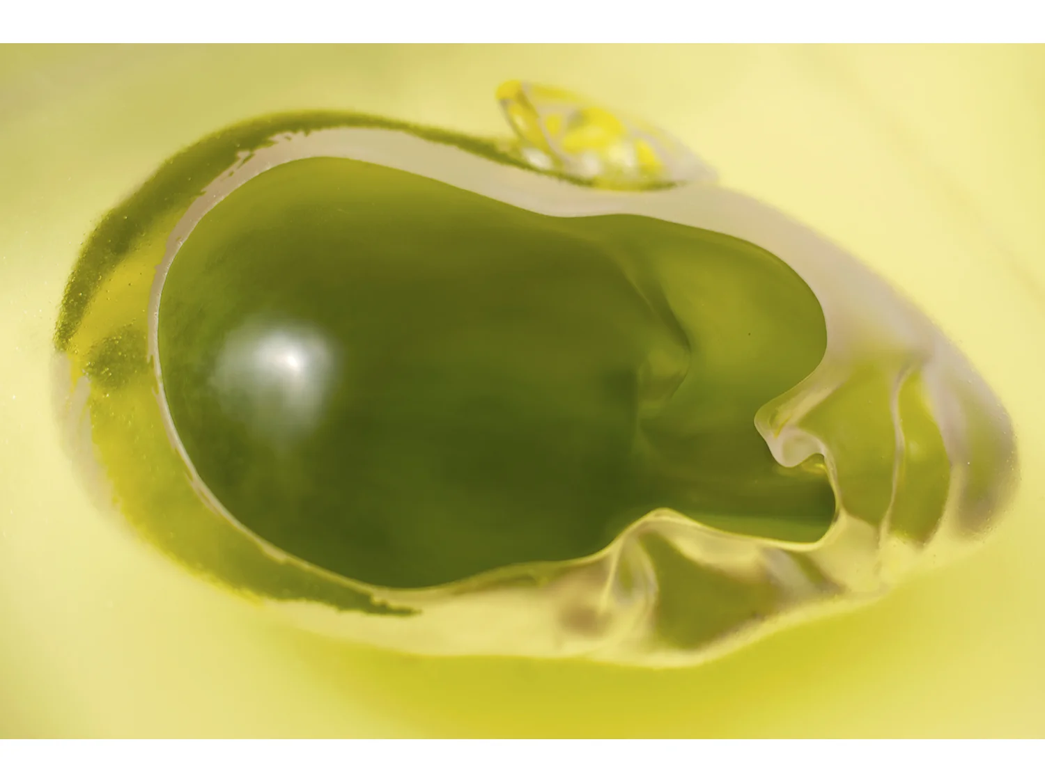 Floating Green — Rona Pondick
