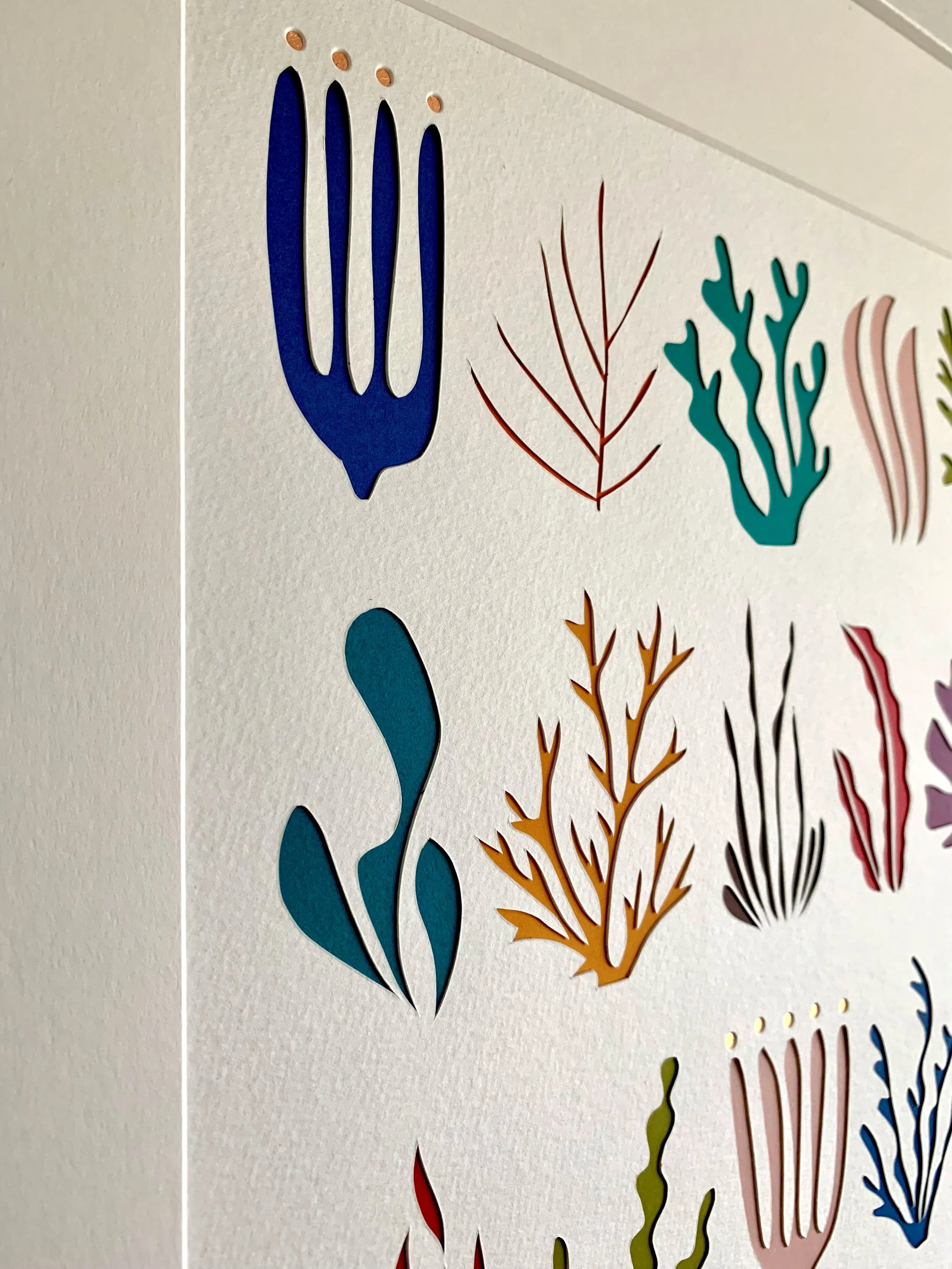 Seaweed — Cornish Paper Cut Art