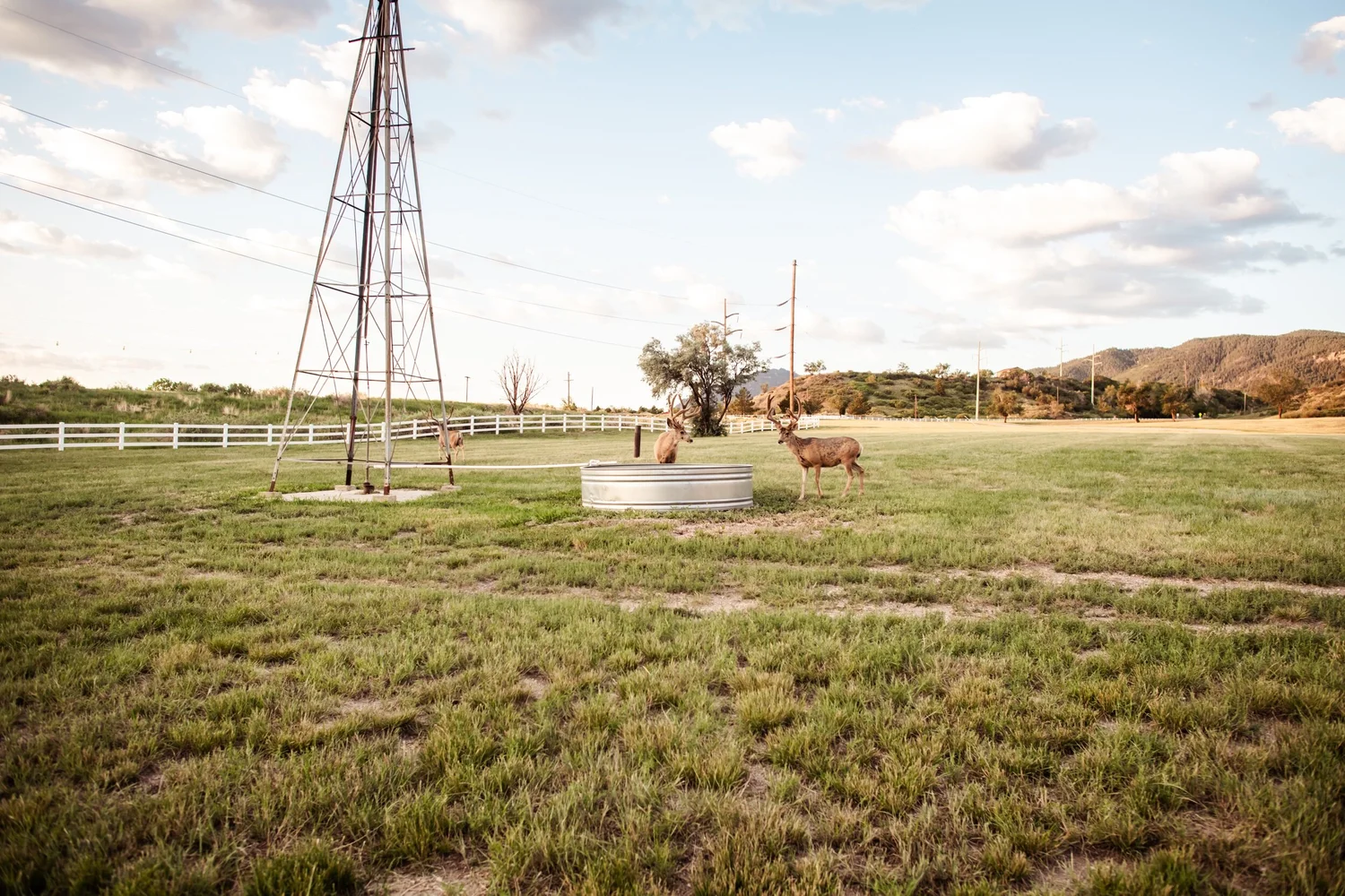 The Birth of Runi — Homeless Honeymoon travel blog homepage - A House ...