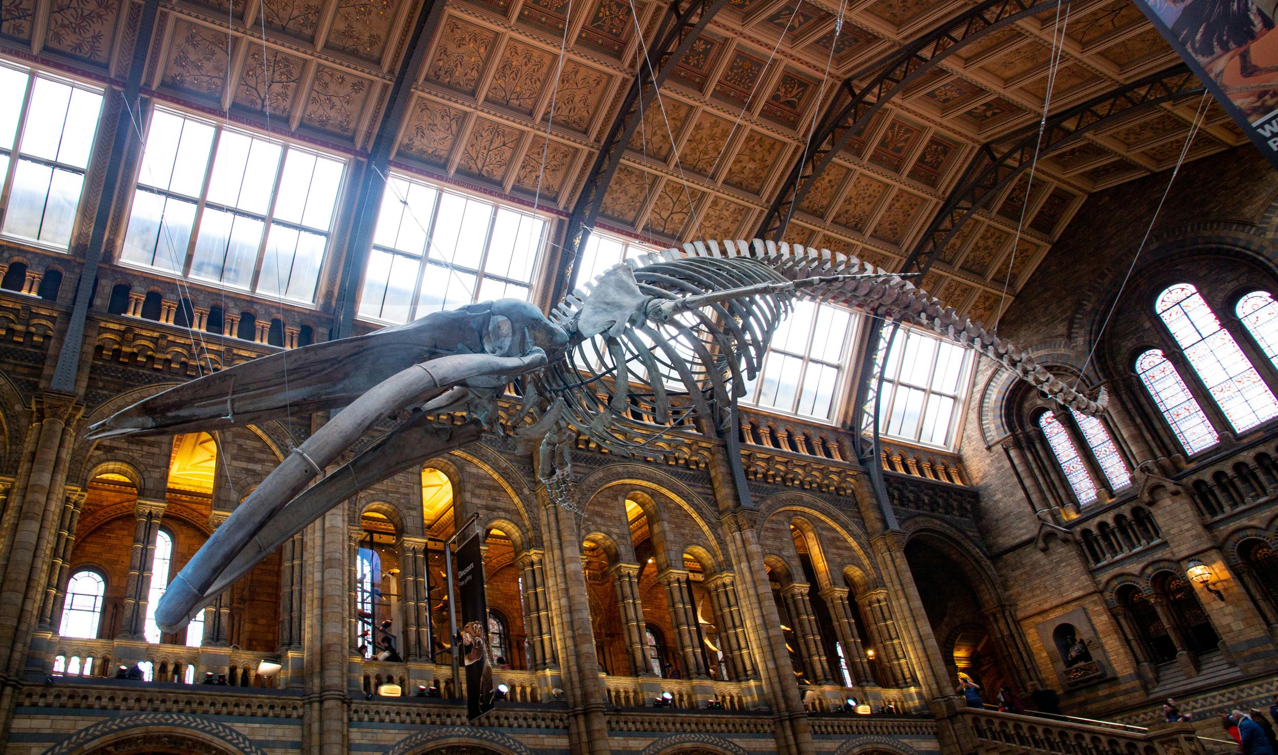 5 Museum Technology Solutions For Engagement | Cuseum