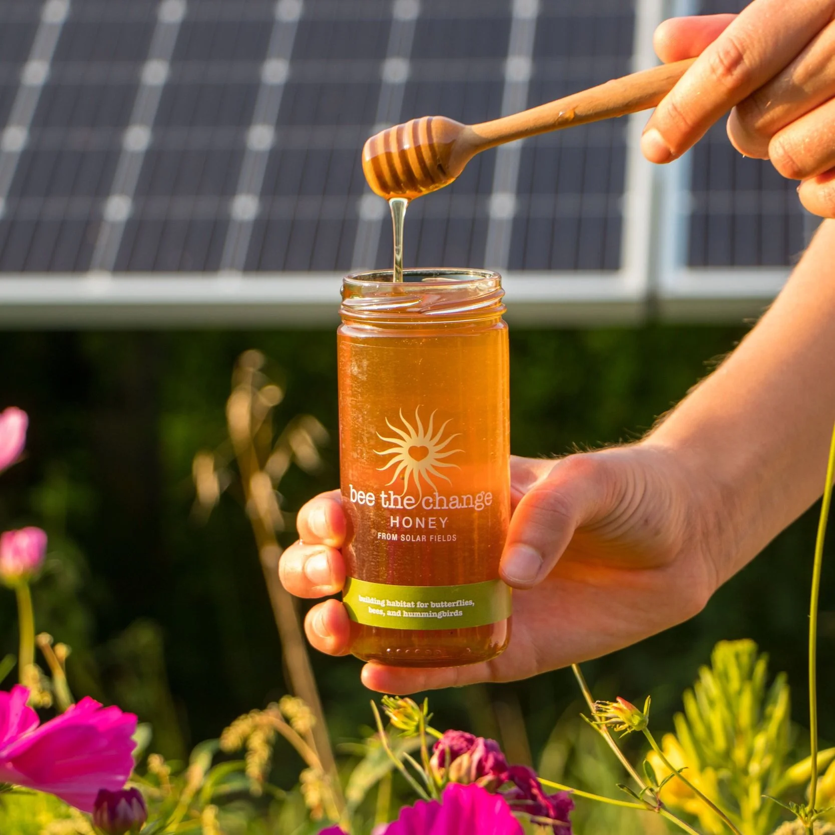 Shop — Bee the Change