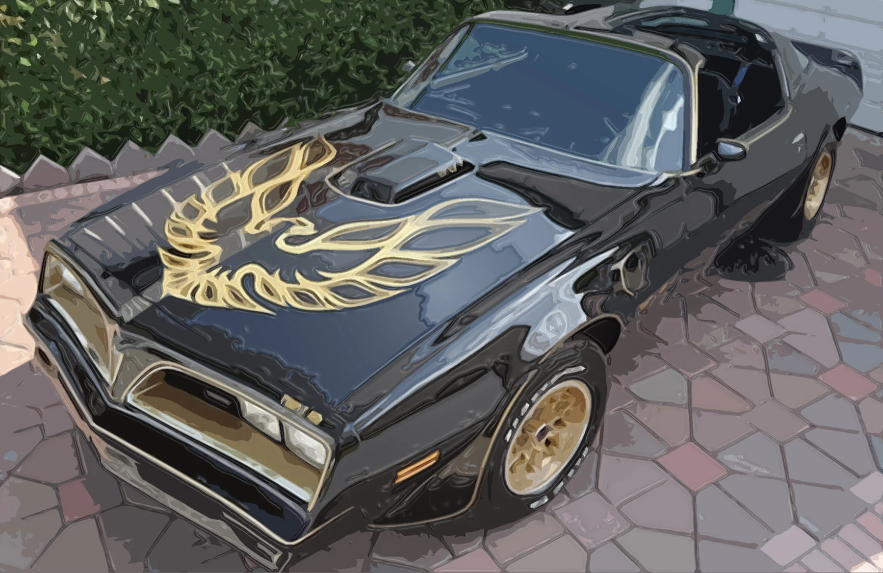 1978 Trans Am Custom