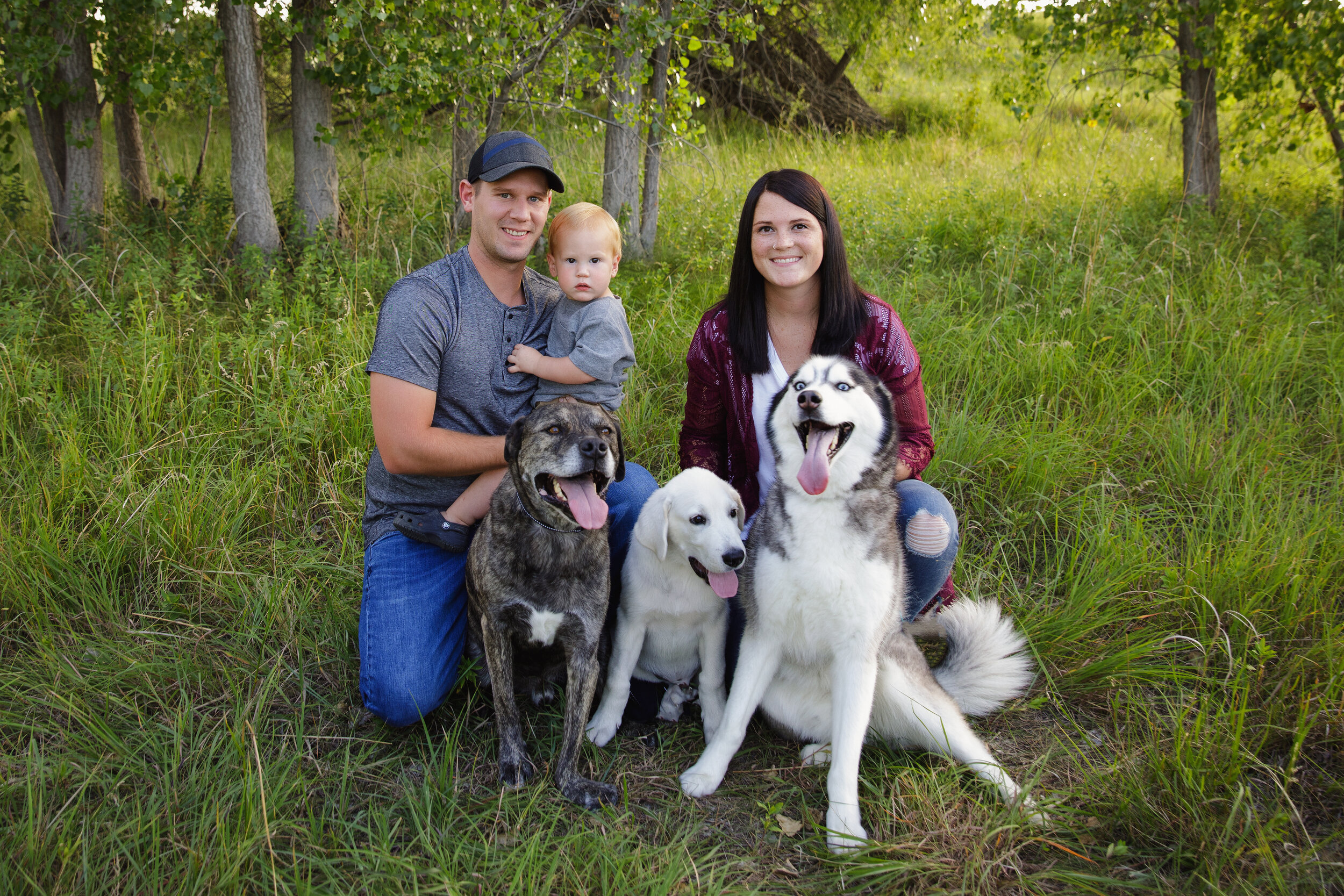 About — Miles of Love Dog Rescue