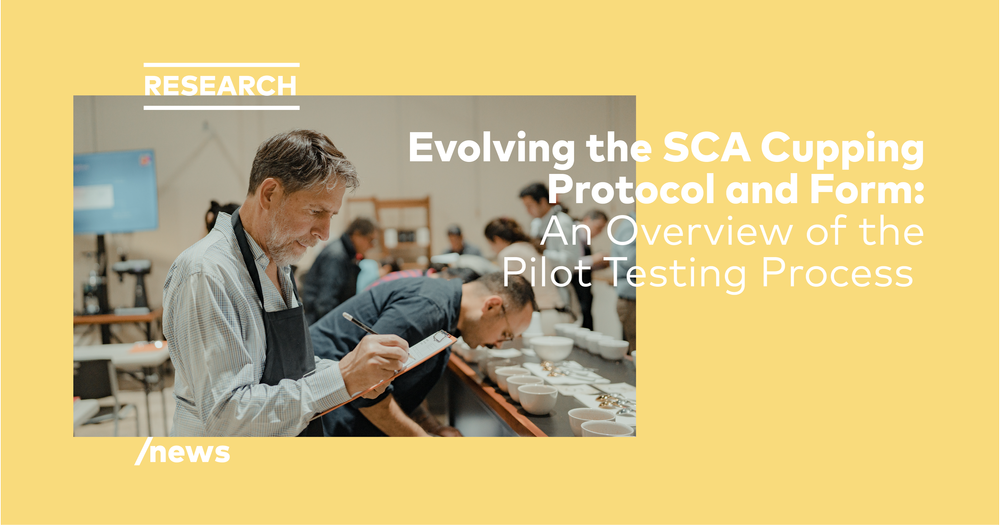 Evolving the SCA Cupping Protocol and Form: An Overview of the Pilot ...