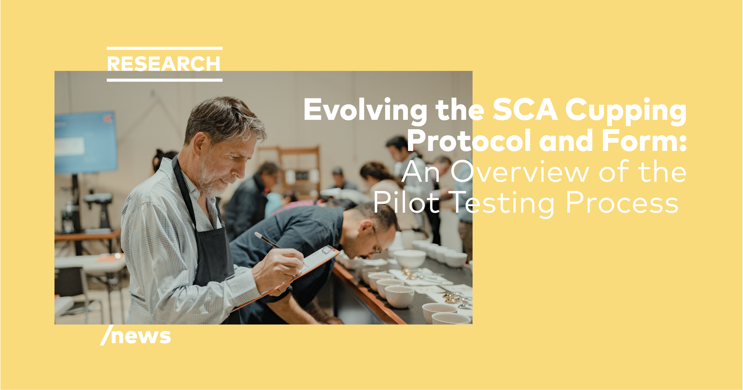 Evolving the SCA Cupping Protocol and Form: An Overview of the Pilot ...