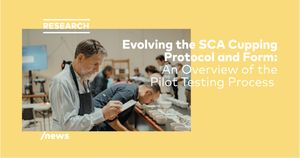 Evolving the SCA Cupping Protocol and Form: An Overview of the Pilot ...