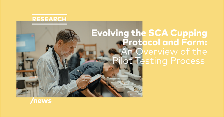 Evolving the SCA Cupping Protocol and Form: An Overview of the Pilot ...