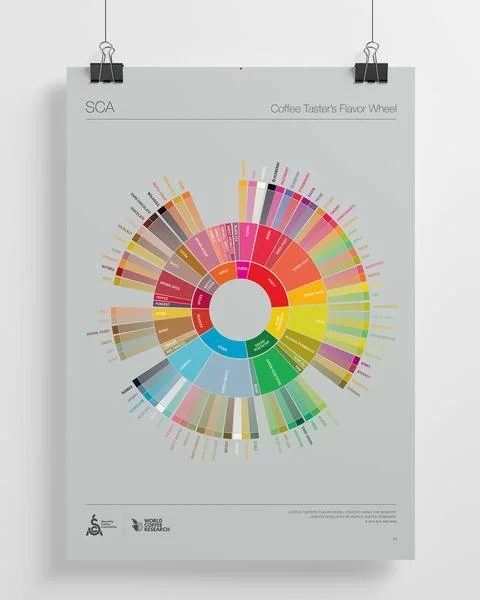 Coffee Taster's Flavor Wheel — Specialty Coffee Association