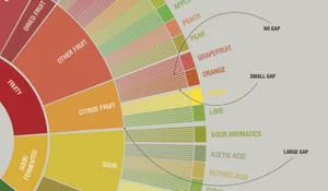 How to Use the Coffee Taster’s Flavor Wheel in Eight Steps — Specialty ...