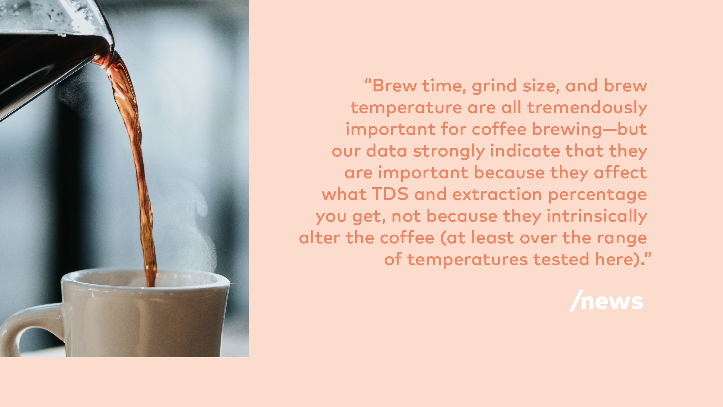 Specialty Coffee Association