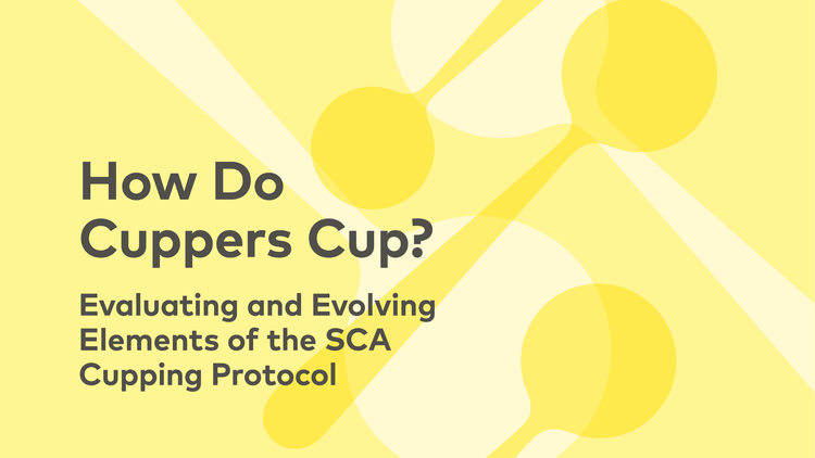 How Do Cuppers Cup? Evaluating and Evolving Elements of the SCA Cupping ...