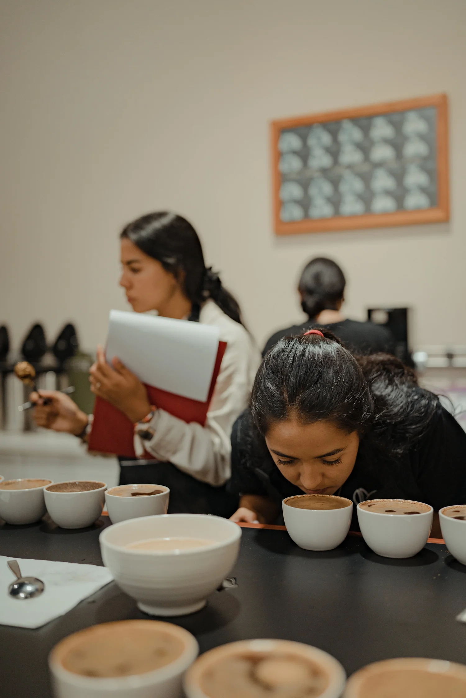 Evolving the SCA Cupping Protocol and Form: An Overview of the Pilot ...