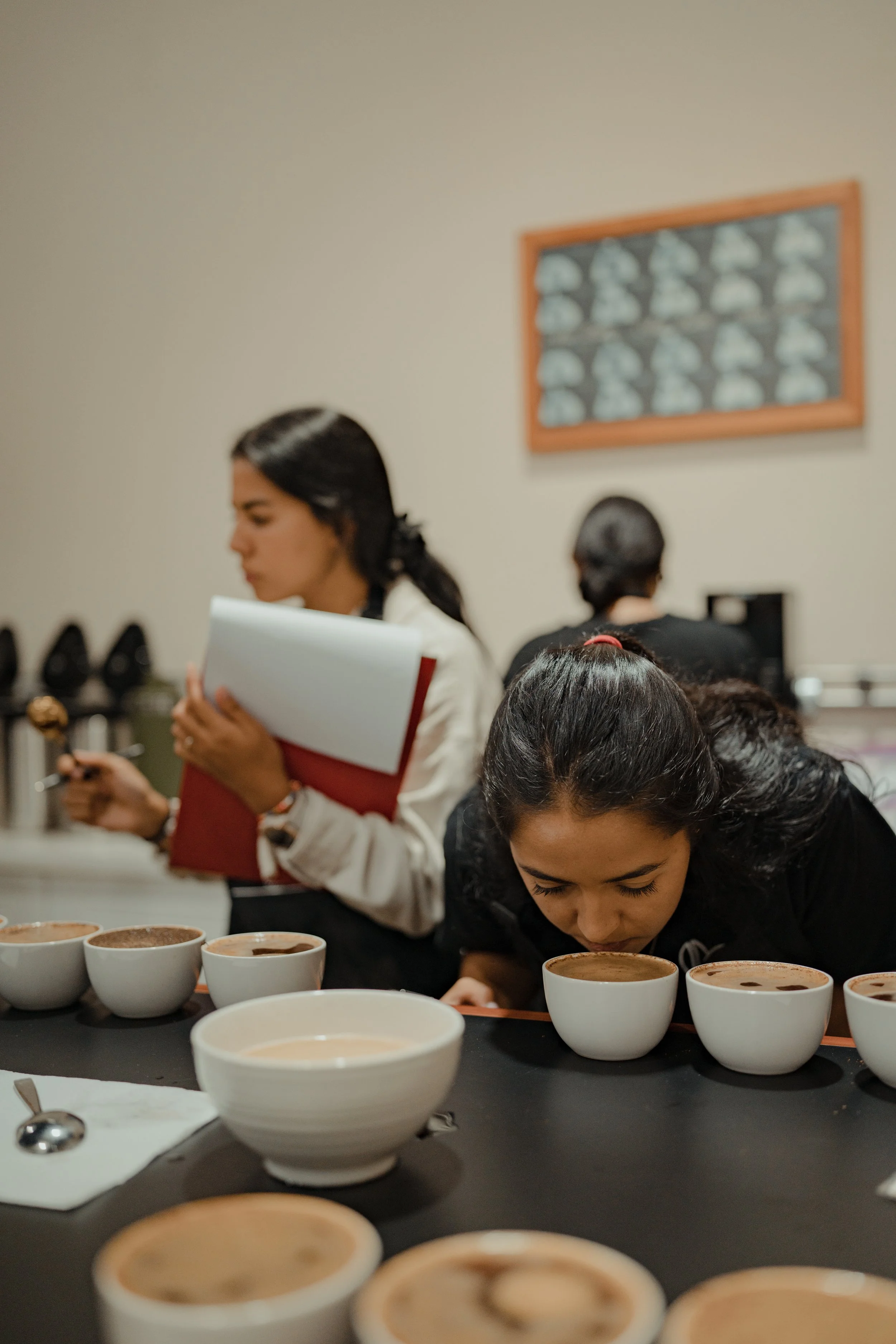 Evolving the SCA Cupping Protocol and Form: An Overview of the Pilot ...