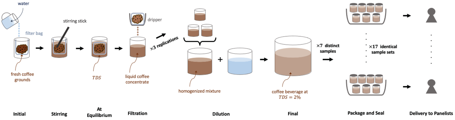 The Coffee Science Foundation Announces New Cold Brew Extraction ...