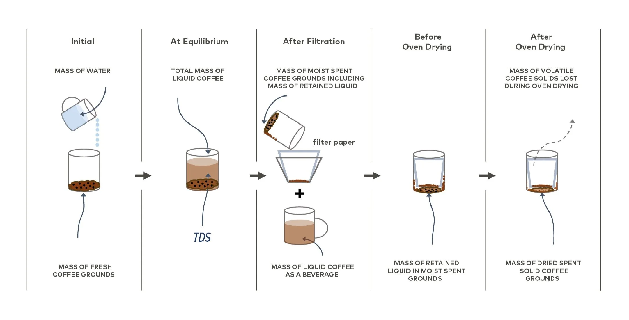 How Strong is the Coffee You’re Cupping? New Model Captures the ...