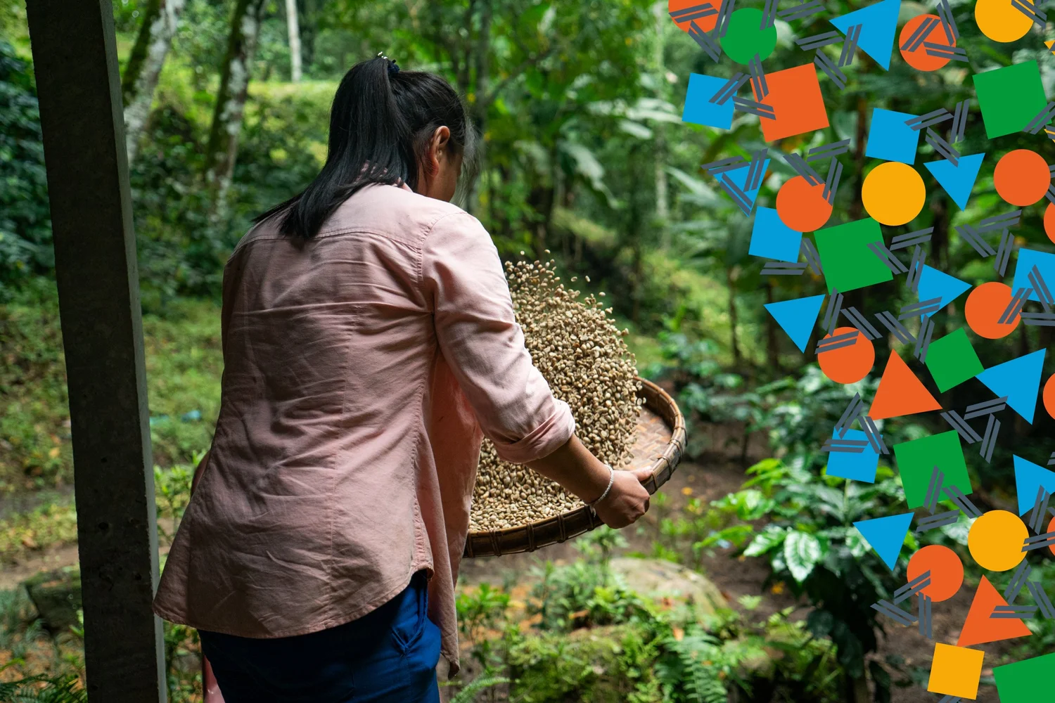 Coffee Value Assessment — Specialty Coffee Association