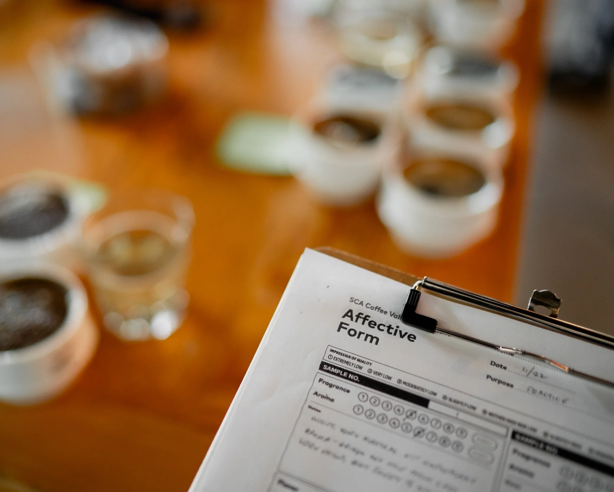 CVA In Action: The Affective Assessment — Specialty Coffee Association