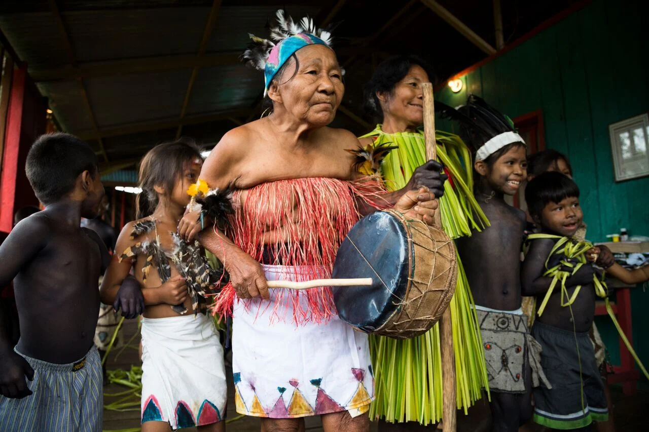 Amazon's indigenous communities sustained by planting seeds ...