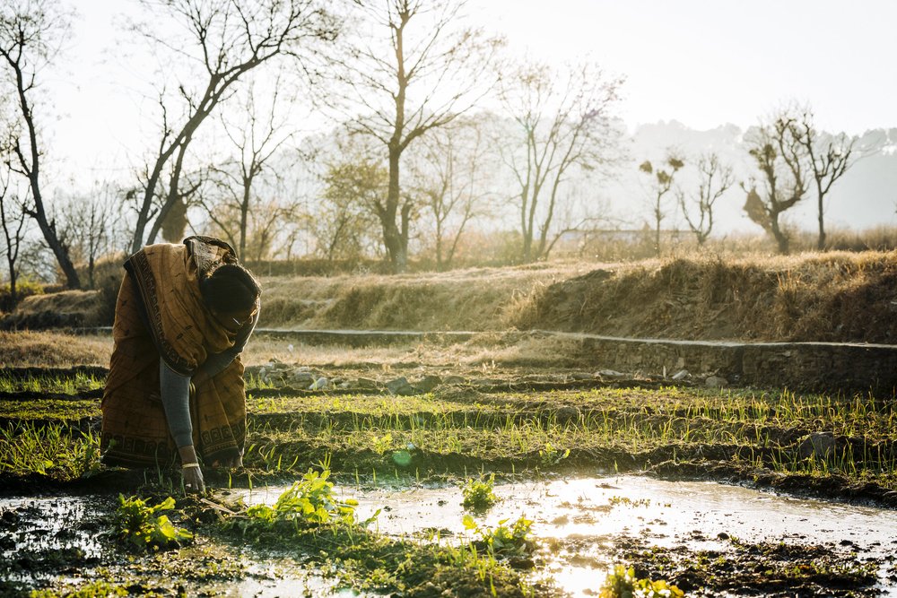 Why a holistic approach to development is key for Indian Himalayan ...
