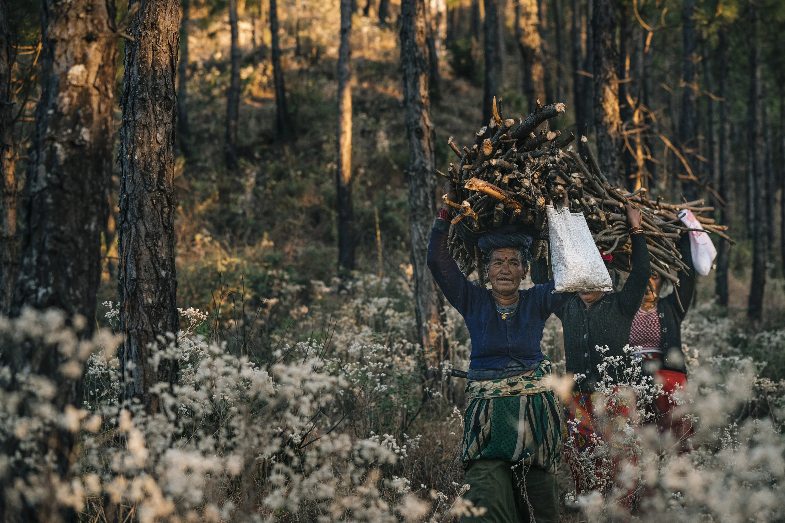 How Himalayan mountain communities are battling the effects of climate ...