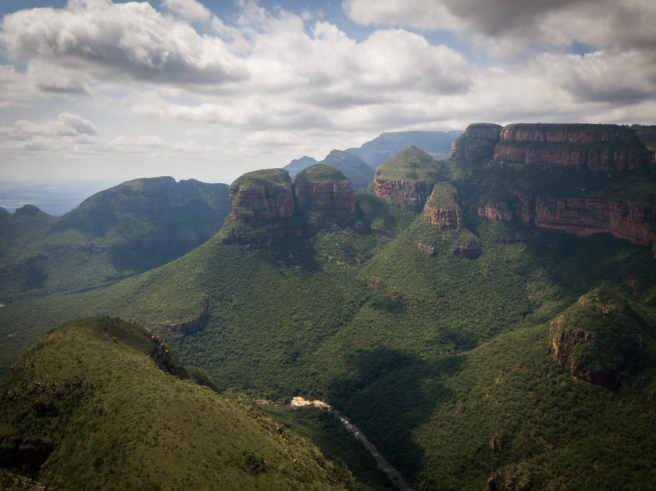 Beyond the gun: How Apartheid, poverty and poaching intersect in South ...