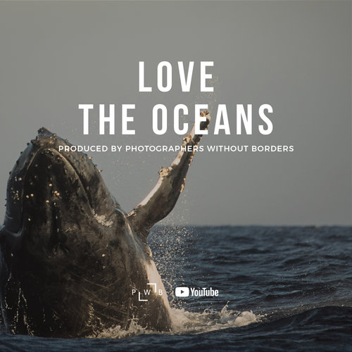 Love the Oceans — Photographers Without Borders