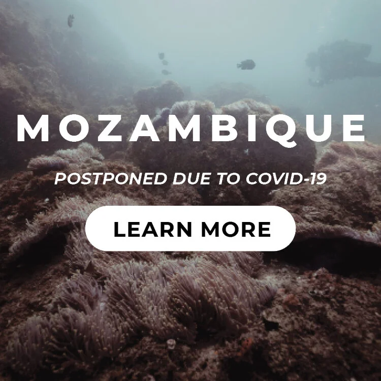 MAGAZINE — Photographers Without Borders