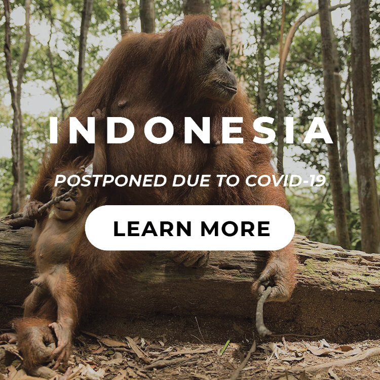 MAGAZINE — Photographers Without Borders