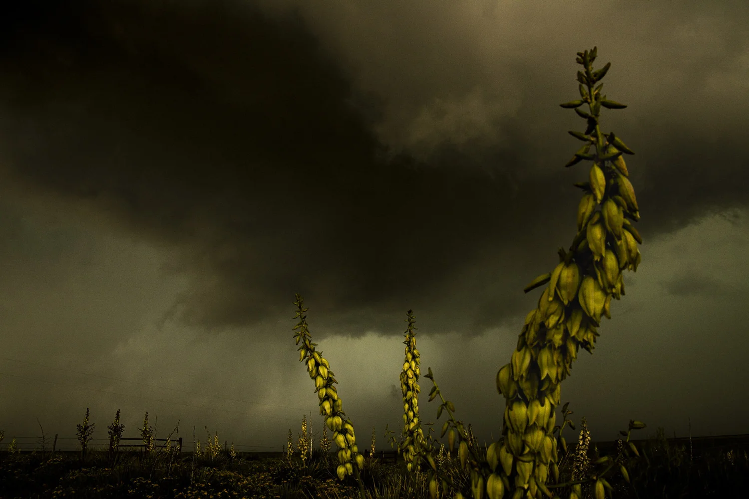 Photographer Krystle Wright on Failure, Passion and Embracing ...