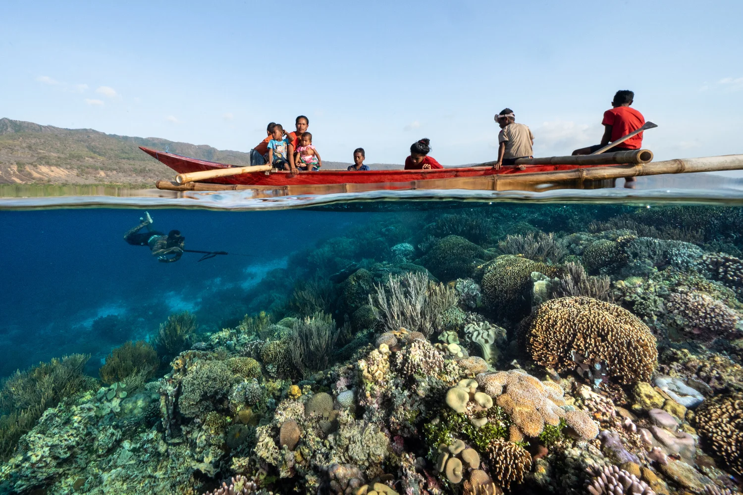 Diving Into Conservation Photography With National Geographic's Andy ...