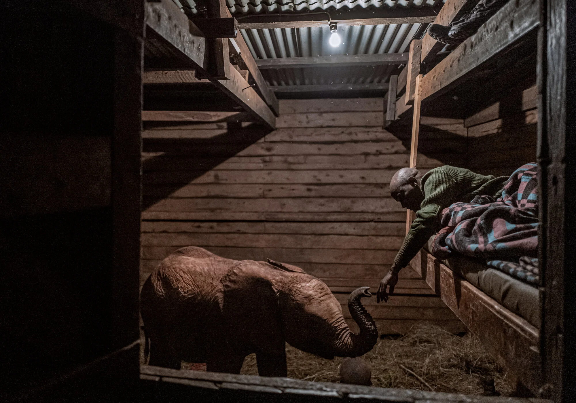 Conservation Photographers On Best Practices, Origins and Ethics ...