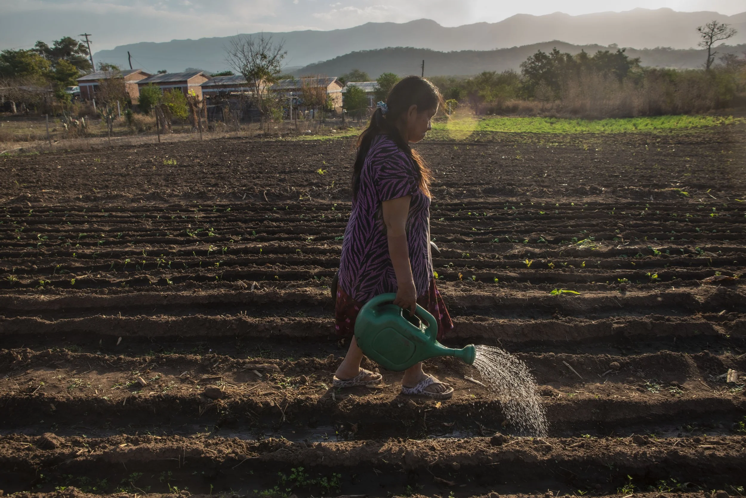 Guaraní Women Revive The Land Through Community Gardens — Photographers ...