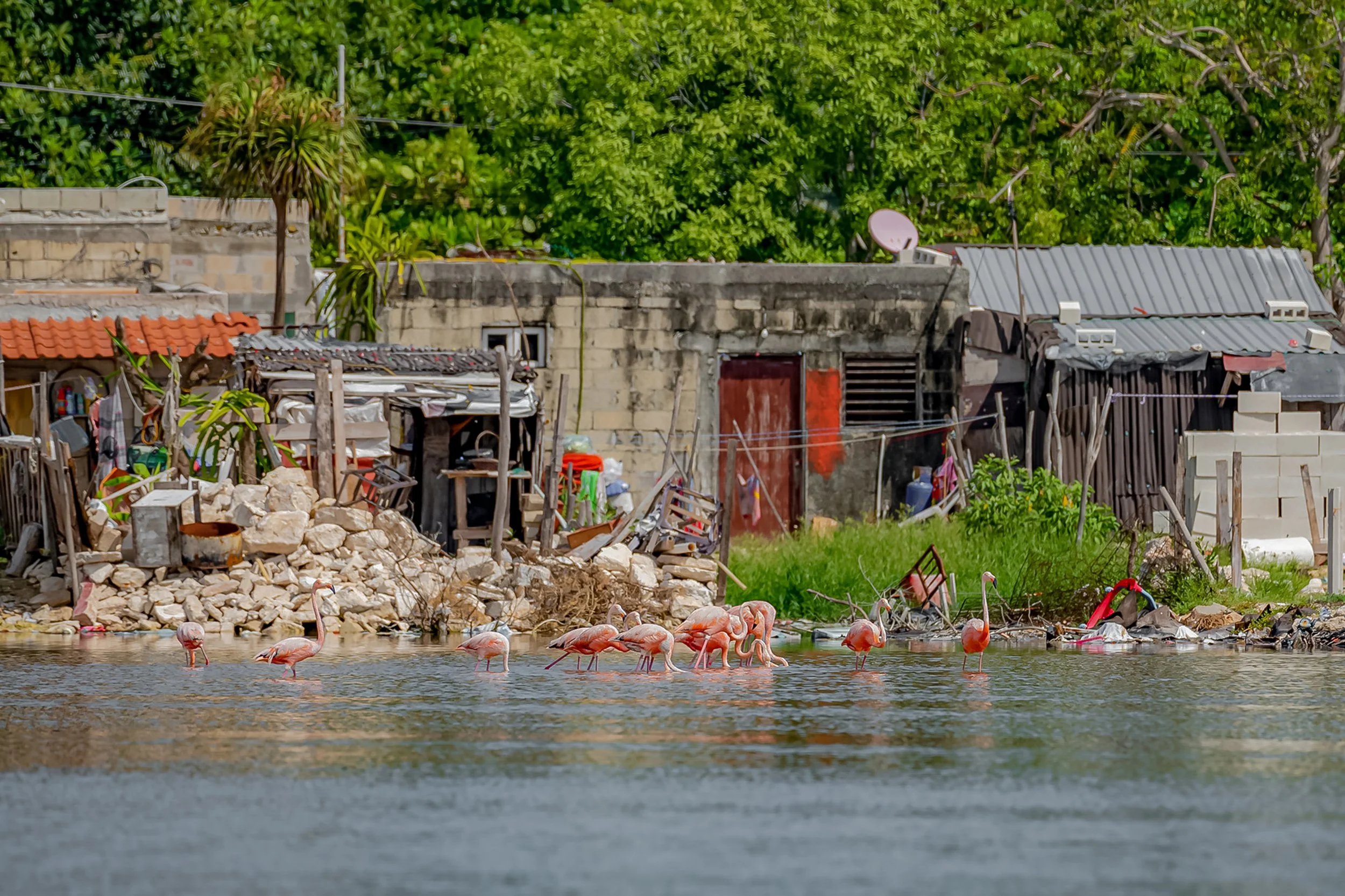 The Vanishing Wetlands of the Yucatán Peninsula — Photographers Without ...