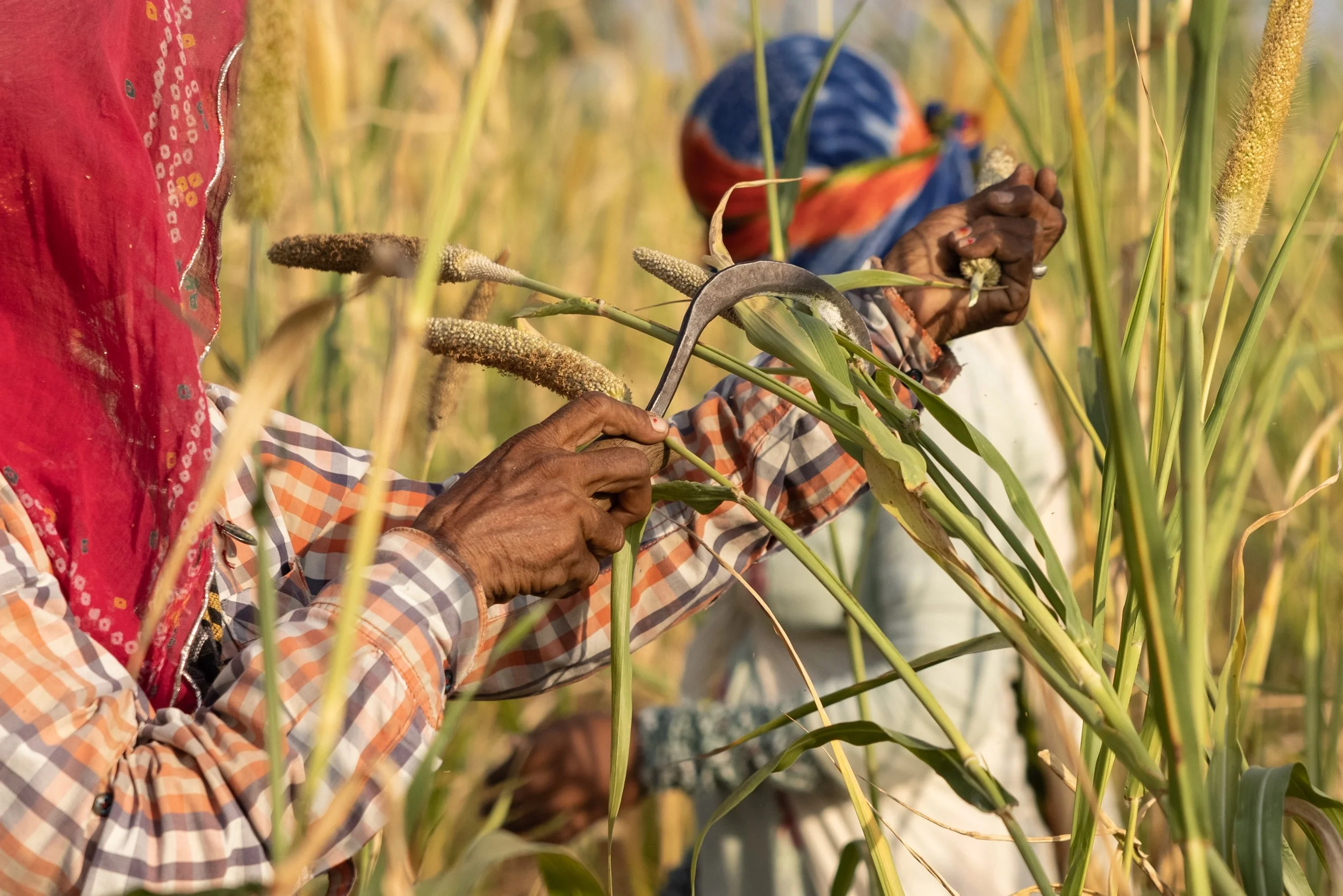 Bringing Access to Clean Water and Education for Women in the Thar ...