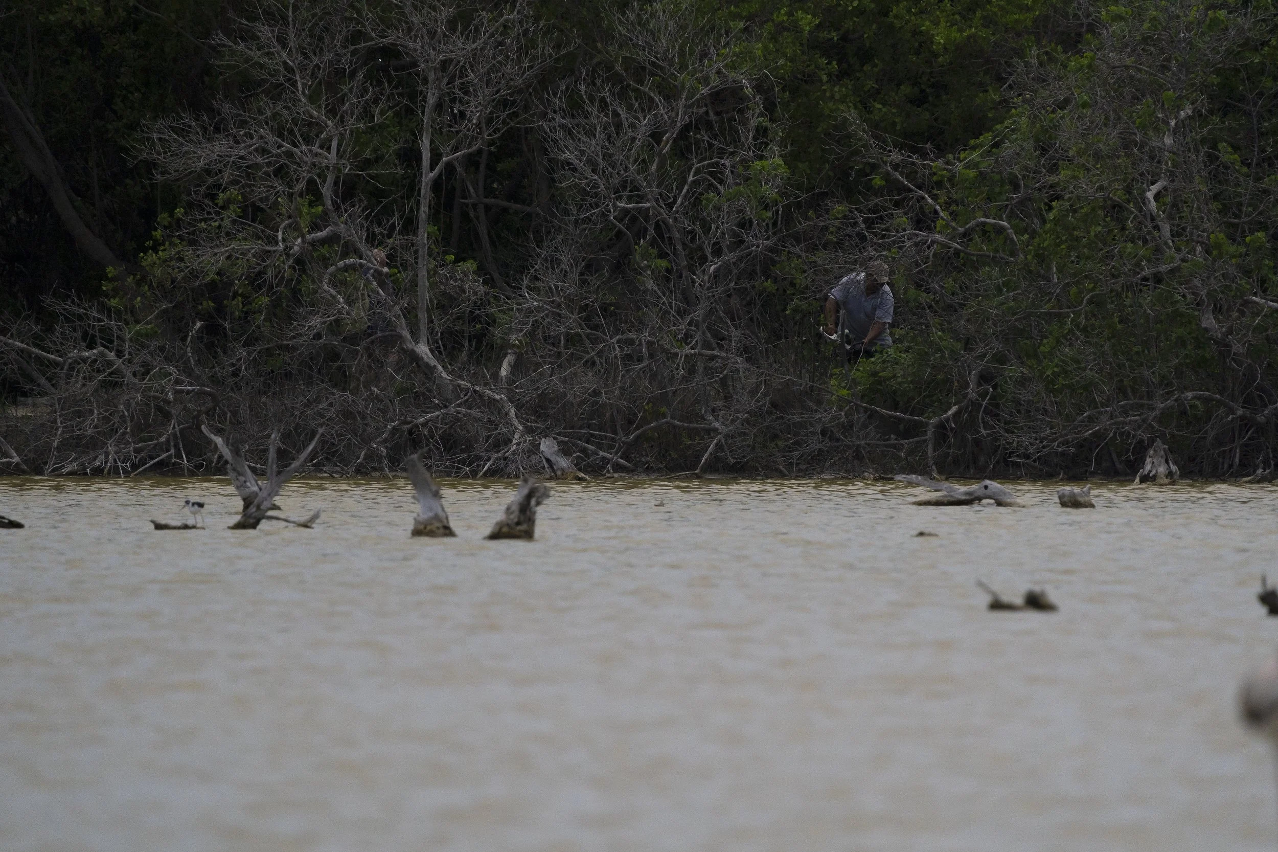The Vanishing Wetlands of the Yucatán Peninsula — Photographers Without ...