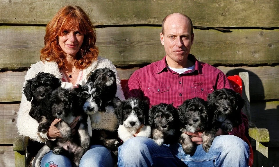 Therapiehonden — DogsWork Therapiehonden