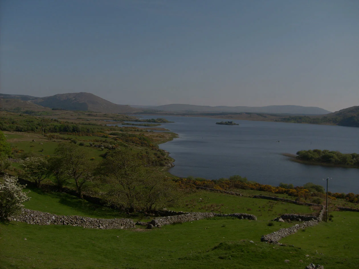 Who We Help — FORUM Connemara CLG